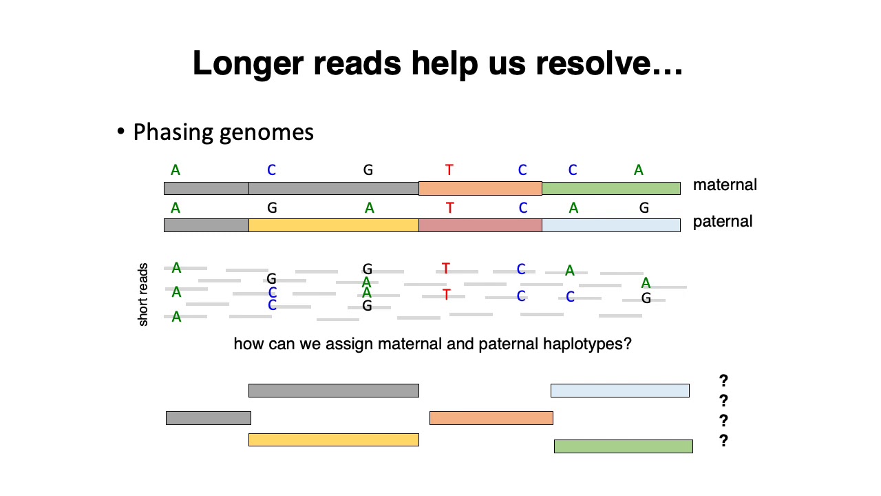 MCB 182 Lecture 2.5 - PacBio, Nanopore sequencing - YouTube