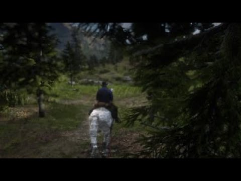 Rdr2 Exploring West Elizabeth - YouTube