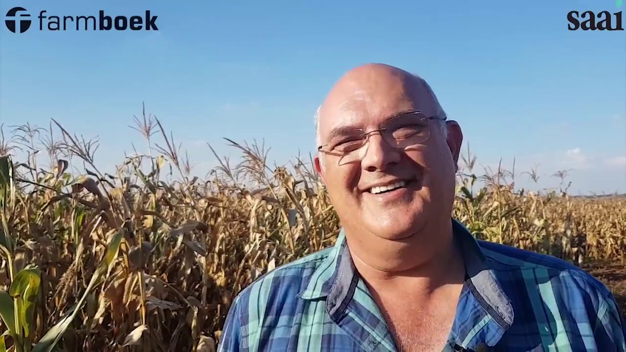 Who is SAAI and what is it that they do? - YouTube