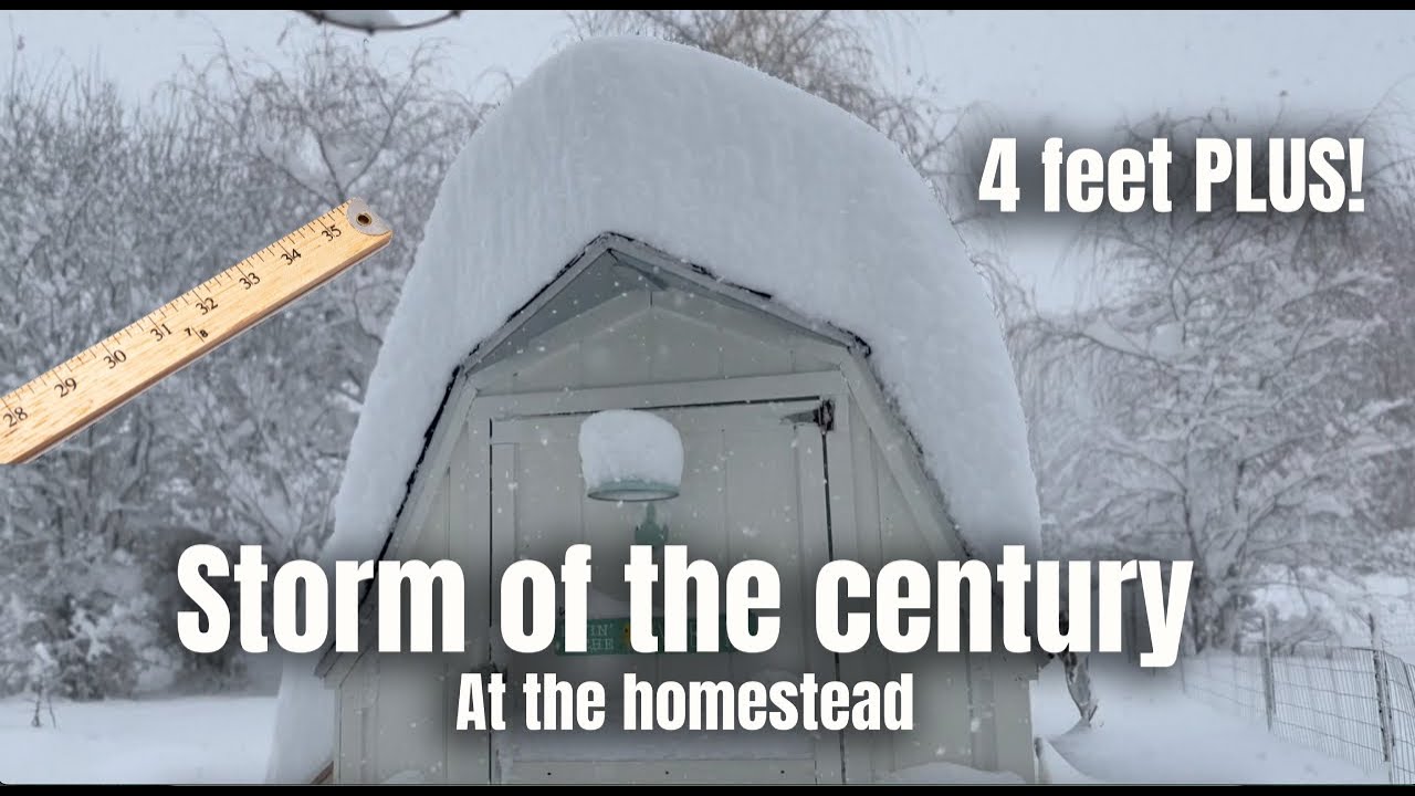 BIGGEST Snow storm EVER on the homestead! - YouTube