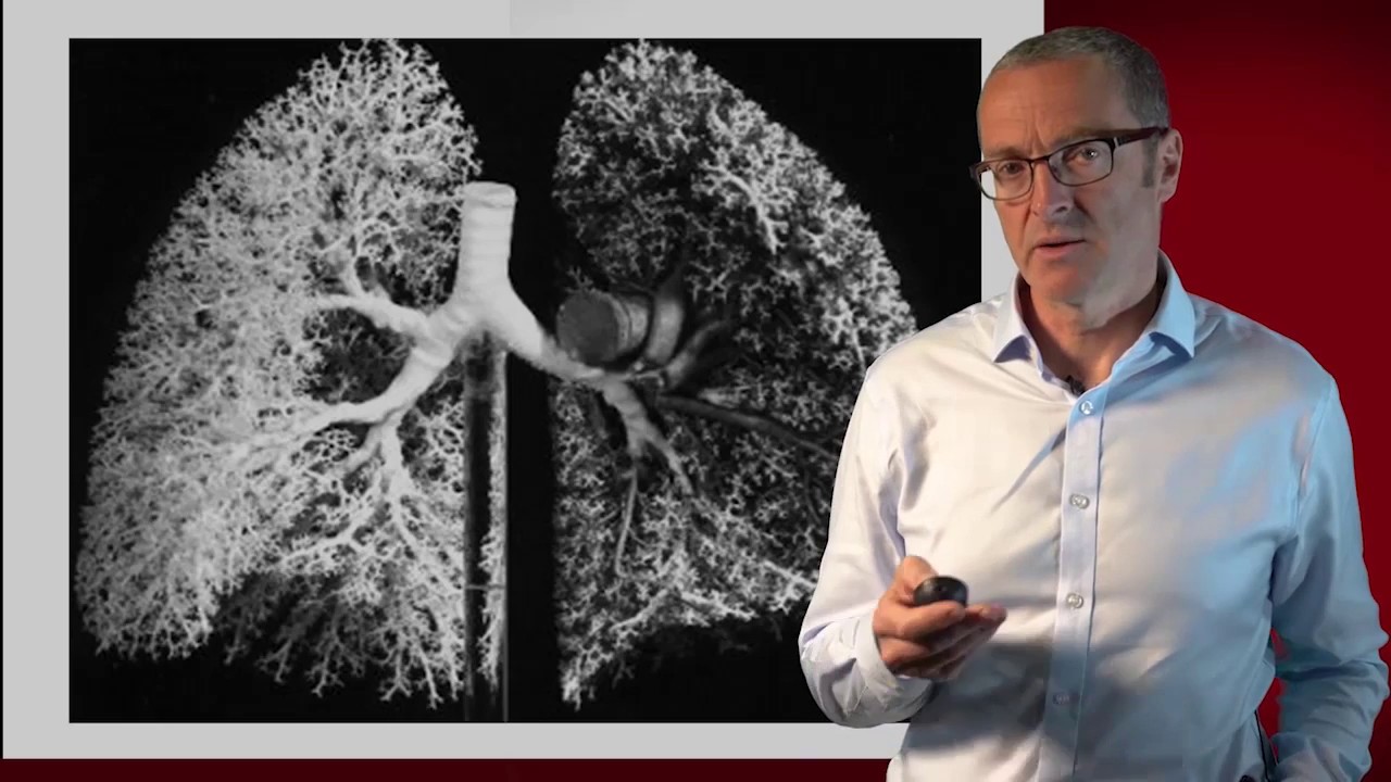 Professor David Fishwick - Go Home Healthy - YouTube