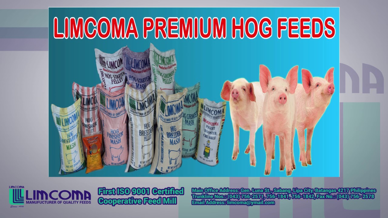 MEMBER'S TESTIMONIAL | LIMCOMA COOPERATIVE - YouTube