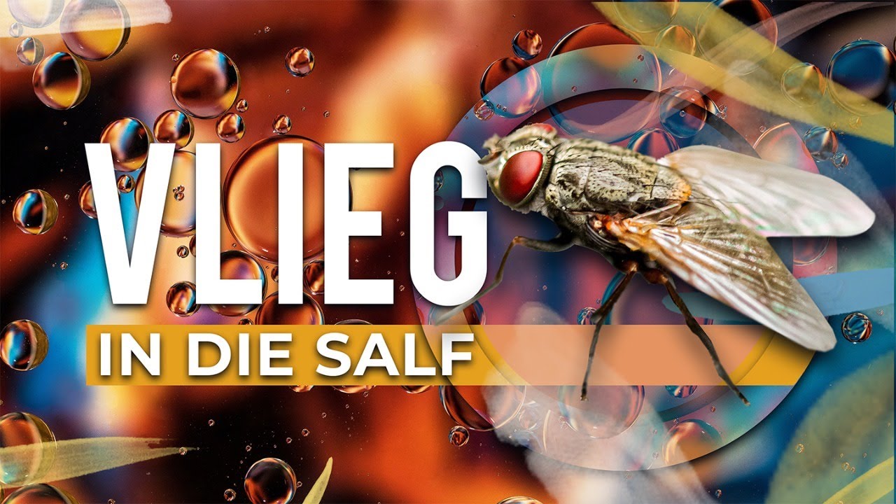 VLIEG IN DIE SALF - 30 MEI 2021 - YouTube