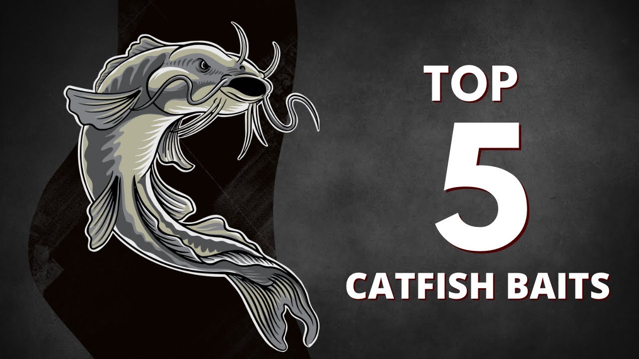 Top 5 CATFISHING Baits To Try! (Under 5 Minutes!) - YouTube