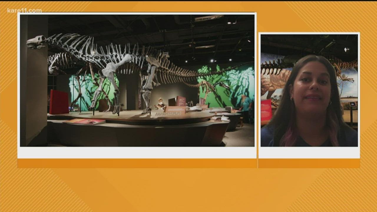 Ultimate Dinosaurs At The Science Museum Of Minnesota Science Museum