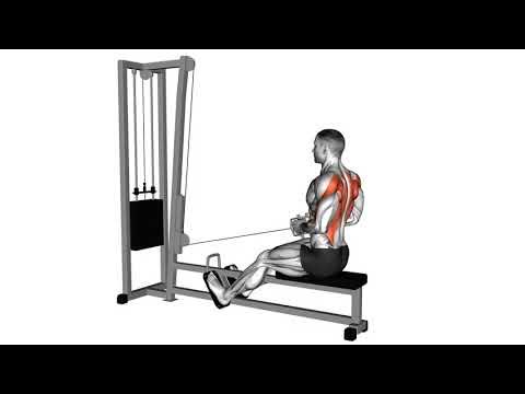 Mastering the Cable Seated Row： A Comprehensive Exercise Gui 08611201 Cable Seated Row Back FIX ...