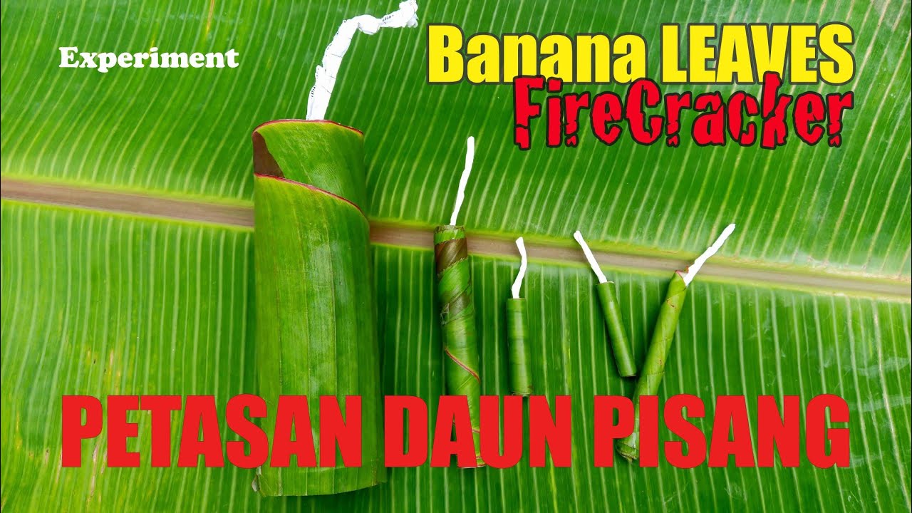 BANANA FIRECRACKER | Petasan Unik Daun Pisang | Nyumet Mercon - YouTube