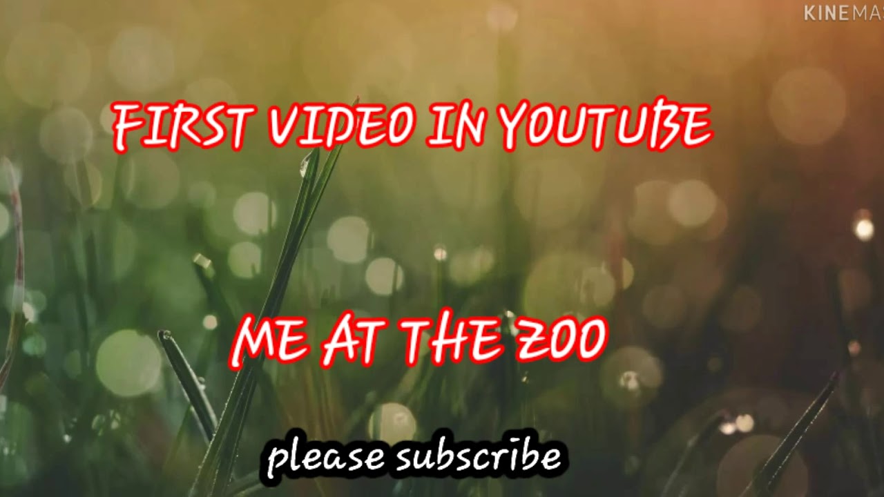 first video in youtube #me_At_the_zoo - YouTube