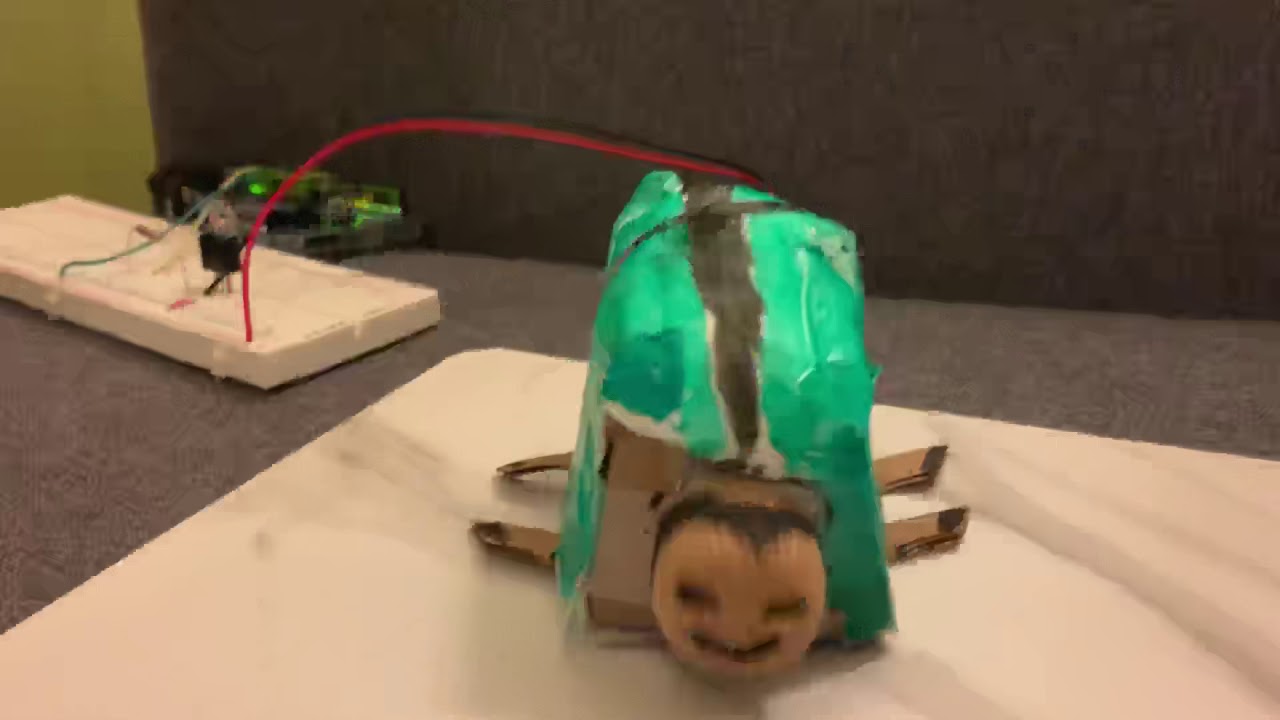 Enchanted Object | Turtle - YouTube