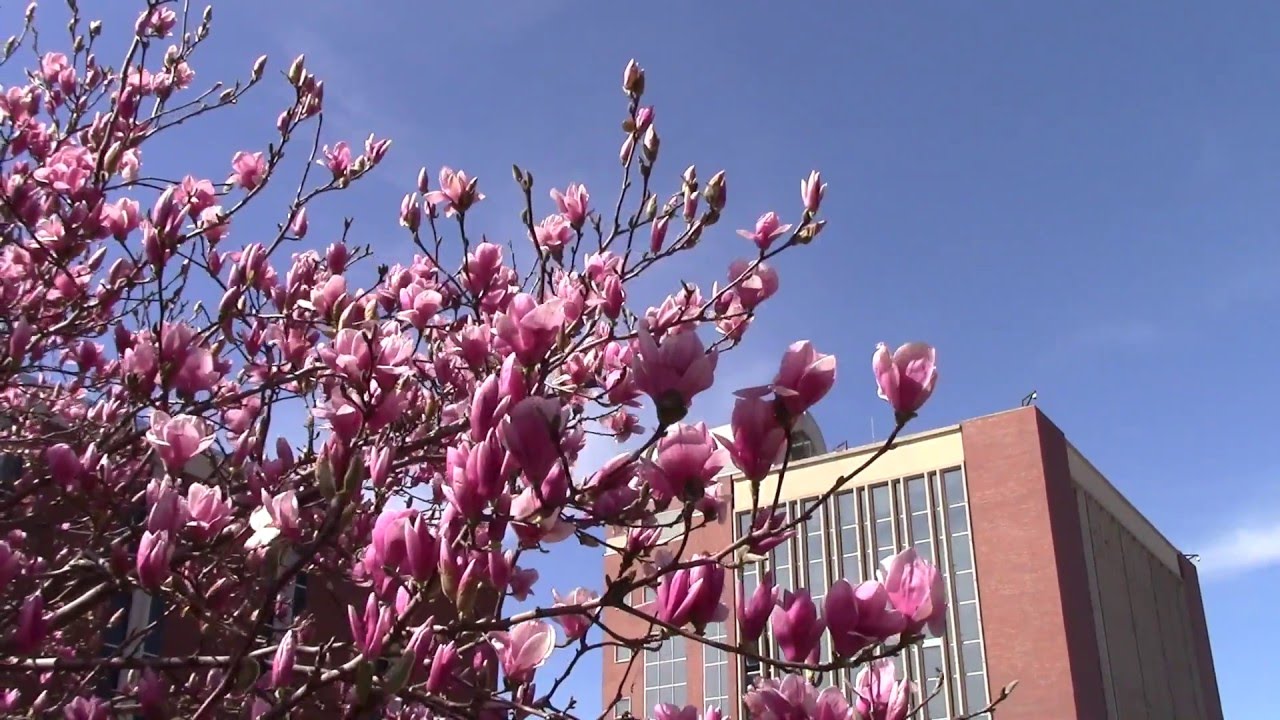 Ohio State Spring Break on Campus, 2016 - YouTube