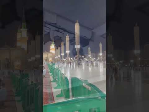 MEDİNE GÜLÜ