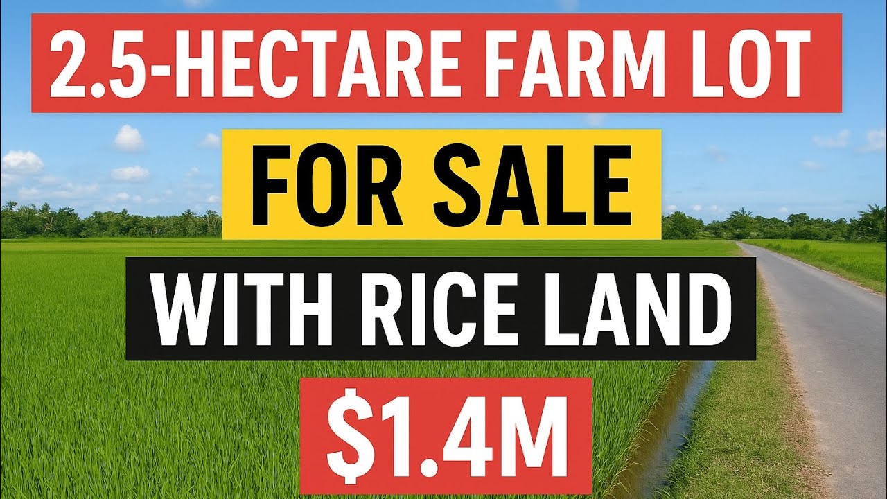 (Vlo#120) 2.5-Hectare farm lot for sale. Along the road W/rice land for ...