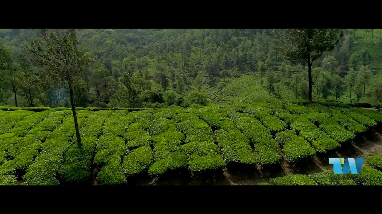 Mirth Foliage Resorts | Poopara | Kanthalloor - YouTube