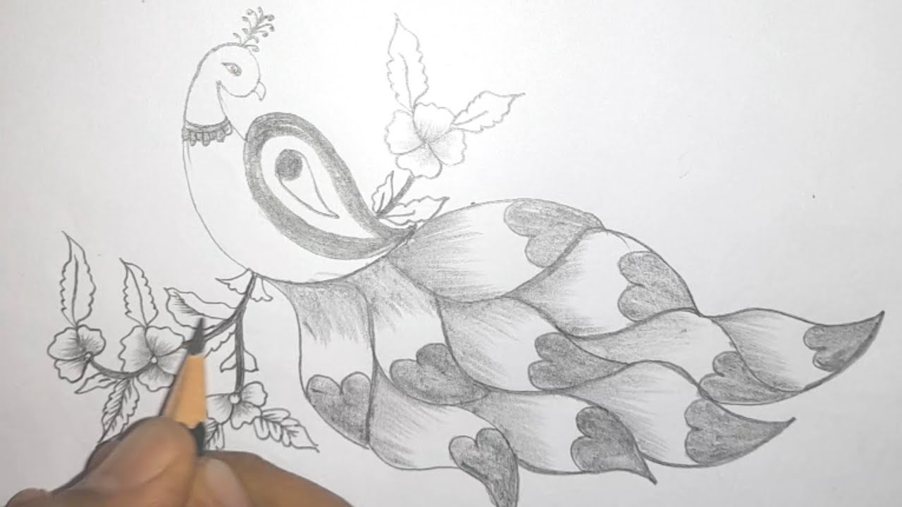 How to draw a peacock - YouTube