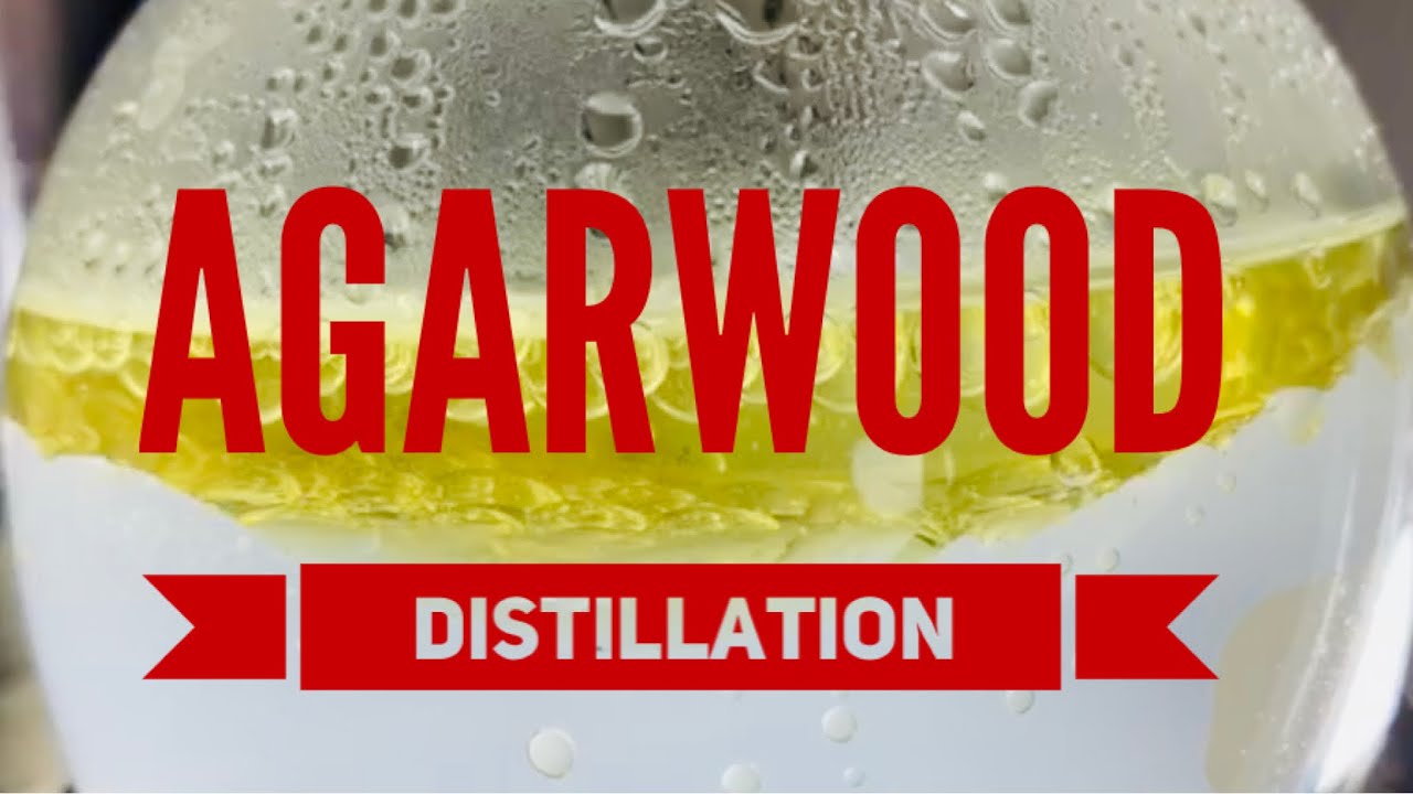 Agarwood distillation, by OudBase.com - YouTube