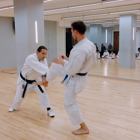 Info how to use Karate Stances to our advantage! (General Stance) and ...