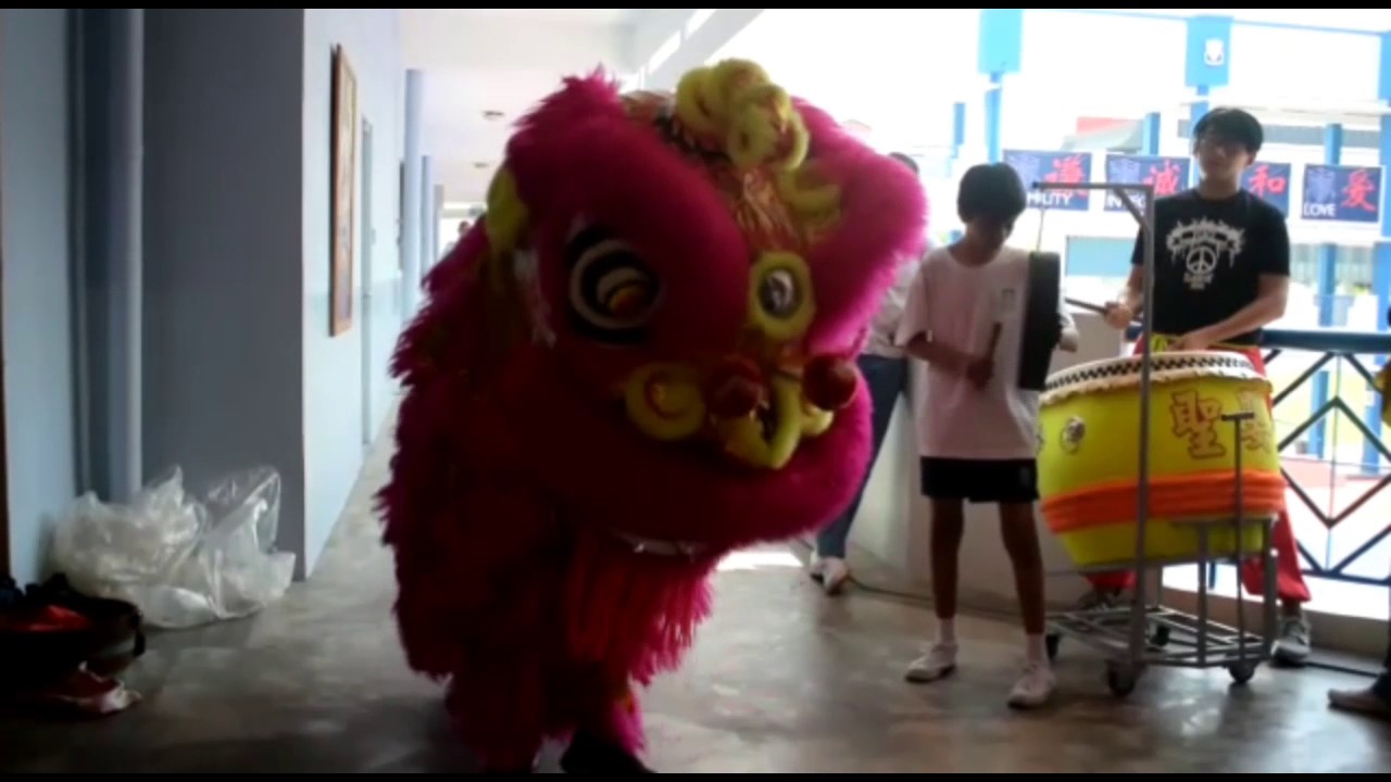 H.I.H.S Offical opening of HAH room (Lion Dance Performance) - YouTube