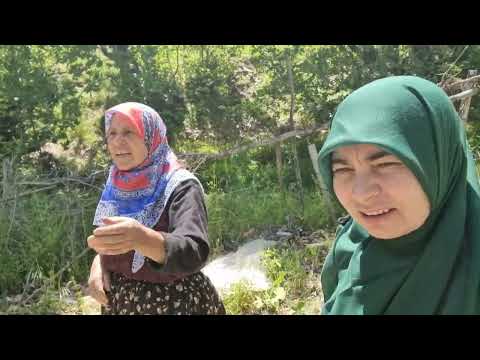 ACİL İŞLER | YEŞİL ERİK TOPLADIK | AYŞE TEYZENİN BAHÇE TURU, KÖYE GİTTİM EVLER BOŞ KÖYDE ÇAPA ZAMANI