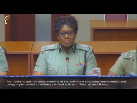 COP Erla Harewood Christopher responds to JSC National Security on the ...