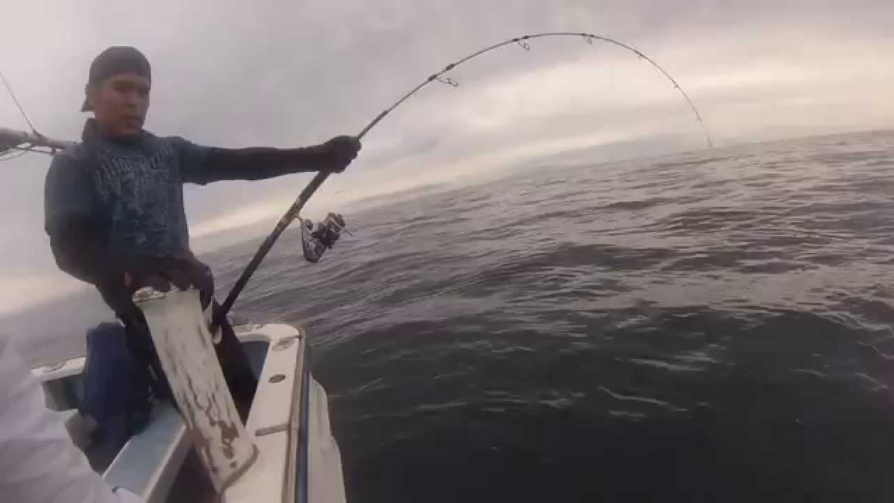 Pescaria de atum em odawara - YouTube
