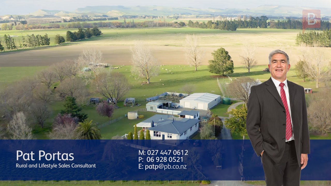 Homewood Kennels & Cattery - YouTube