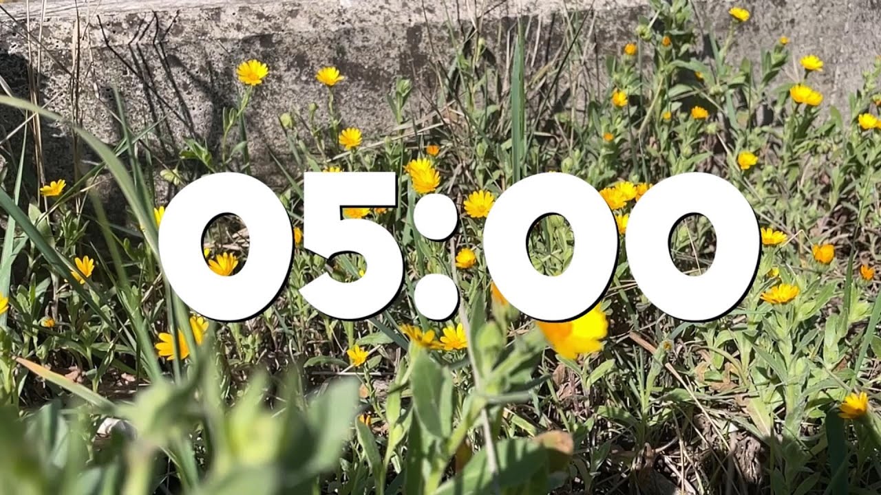 5 Minute Timer with Birds Chirping and Alarm - YouTube