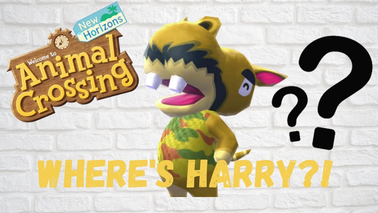 Where’s Harry?! | Animal Crossing:New Horizon Gameplay - YouTube