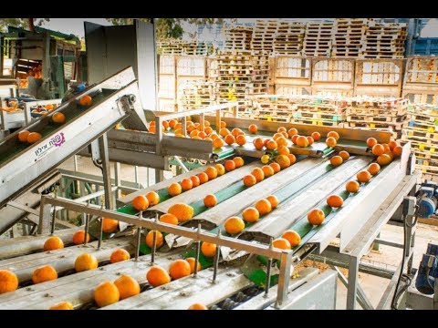 ESHET EILON - YouTube