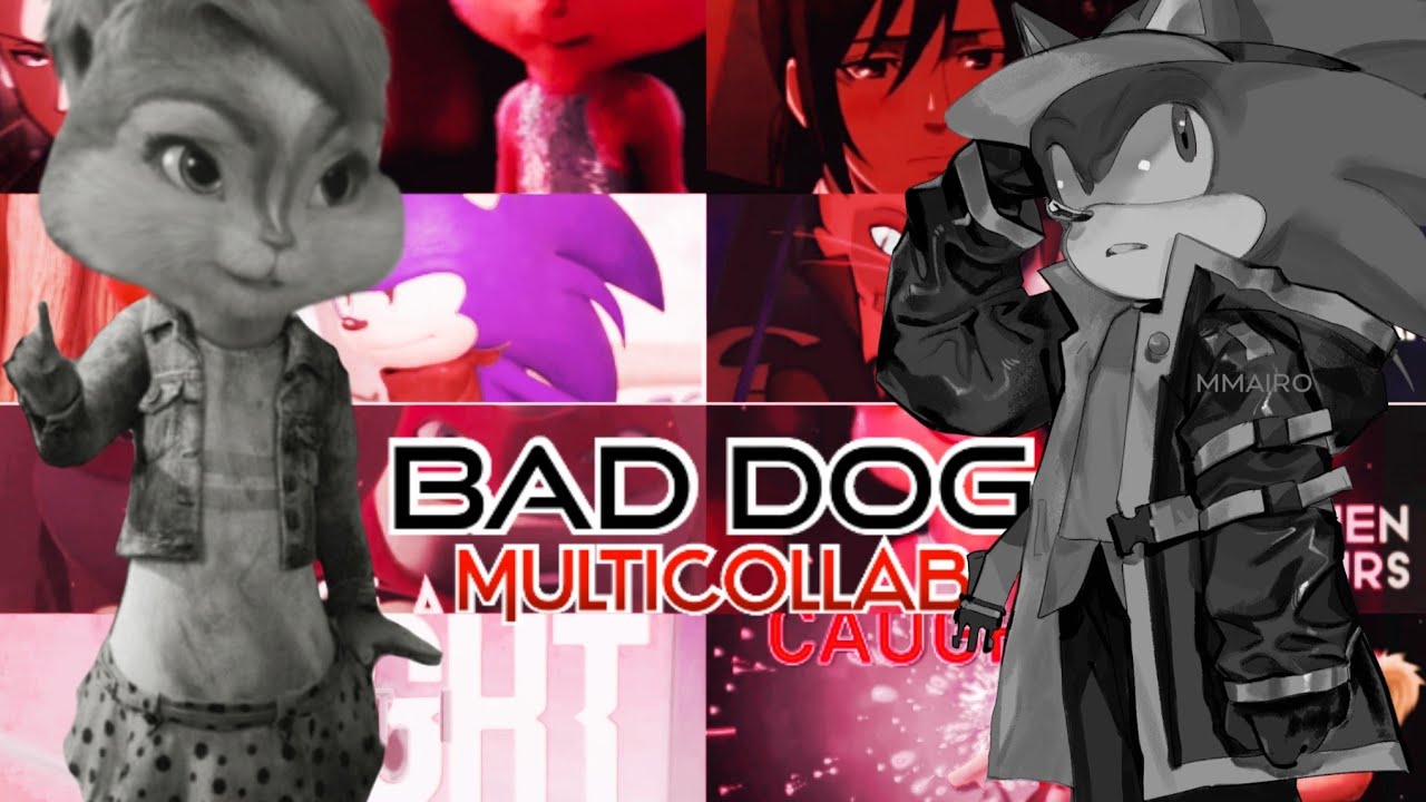 Chipettes x Animash - Bad Dog || Multi-Collab - YouTube