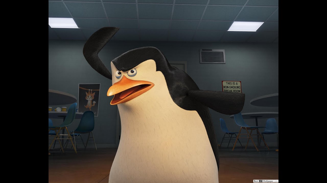 Kowalski cuál es nuestra trayectoria? - YouTube