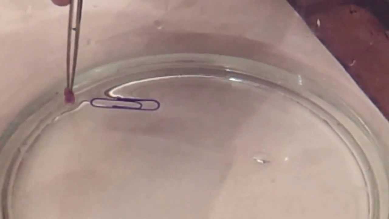 Exploring Creation with General Science Experiment 3.4 - YouTube