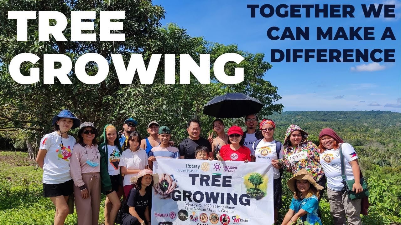 Mahogany Tree Planting and Tree Growing - YouTube