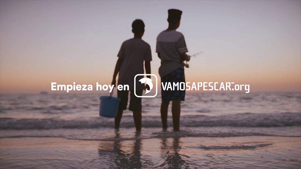 ¡Vamos a Pescar! :15 Digital - 2018 - YouTube
