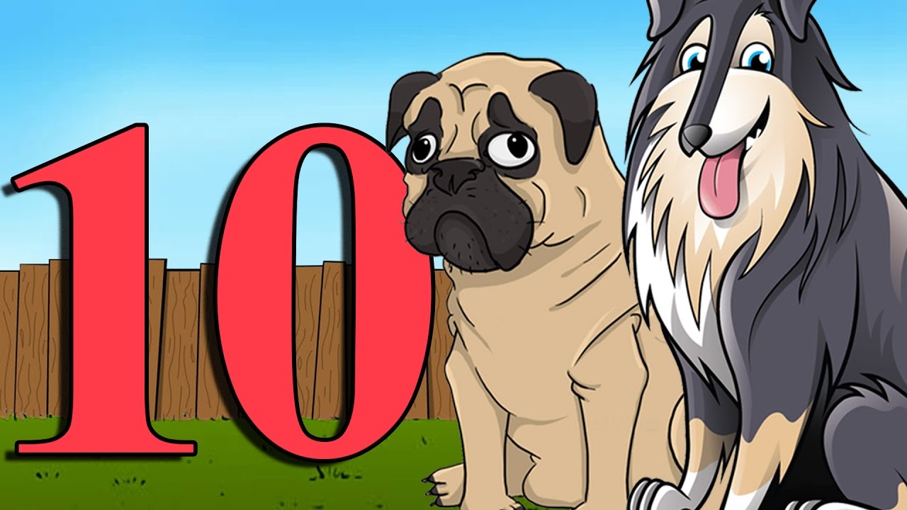 Counting to 10 with Dogs! - YouTube