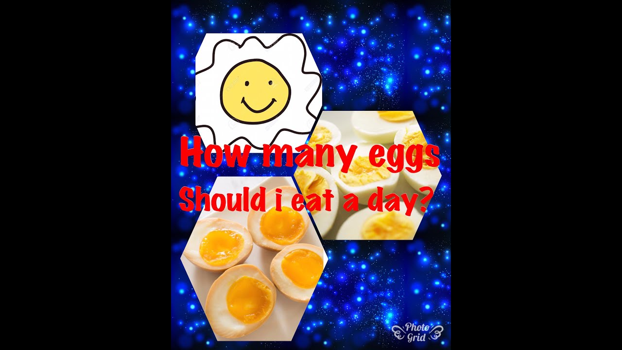 How Many Eggs Should I Eat A Day YouTube how-many-eggs-should-i-eat-a-day-youtube