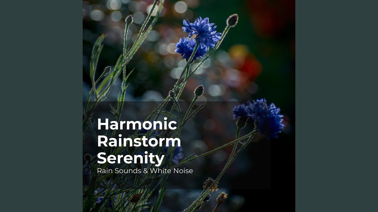 Wind Rhythmic Flow - YouTube