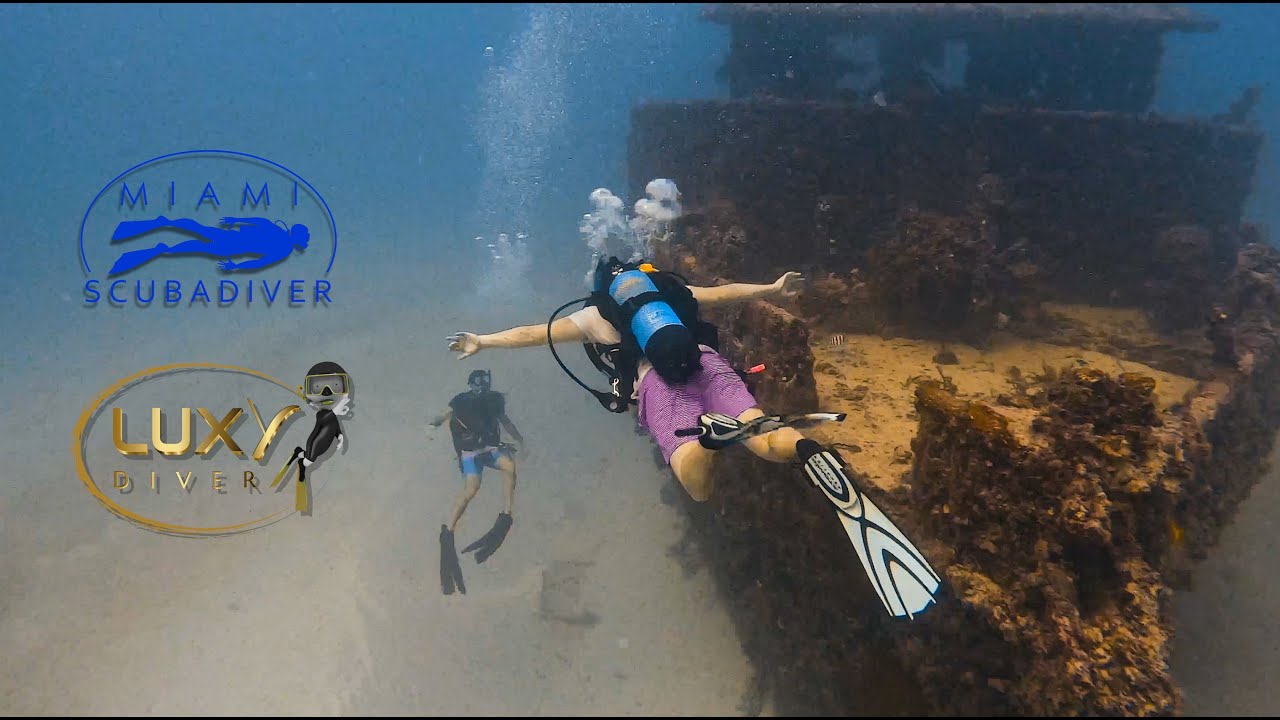 Atlantis Diving Yacht: Your Ultimate Diving Experience in Miami Beach ...