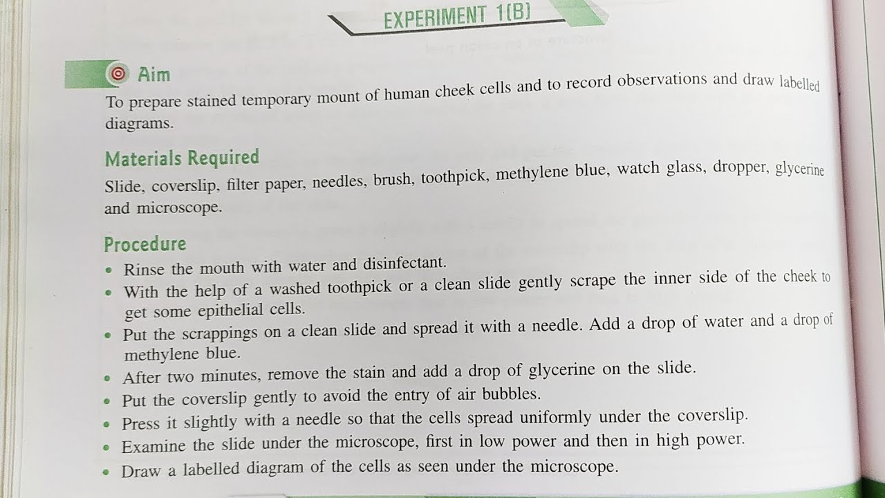 class 9|| science experiment|| experiment 1(B) - YouTube