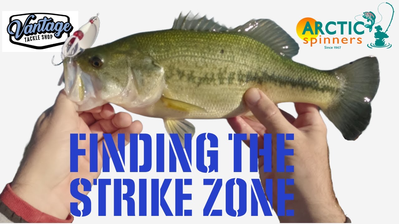 Finding the Strike Zone. How to catch more Fall Bass! - YouTube