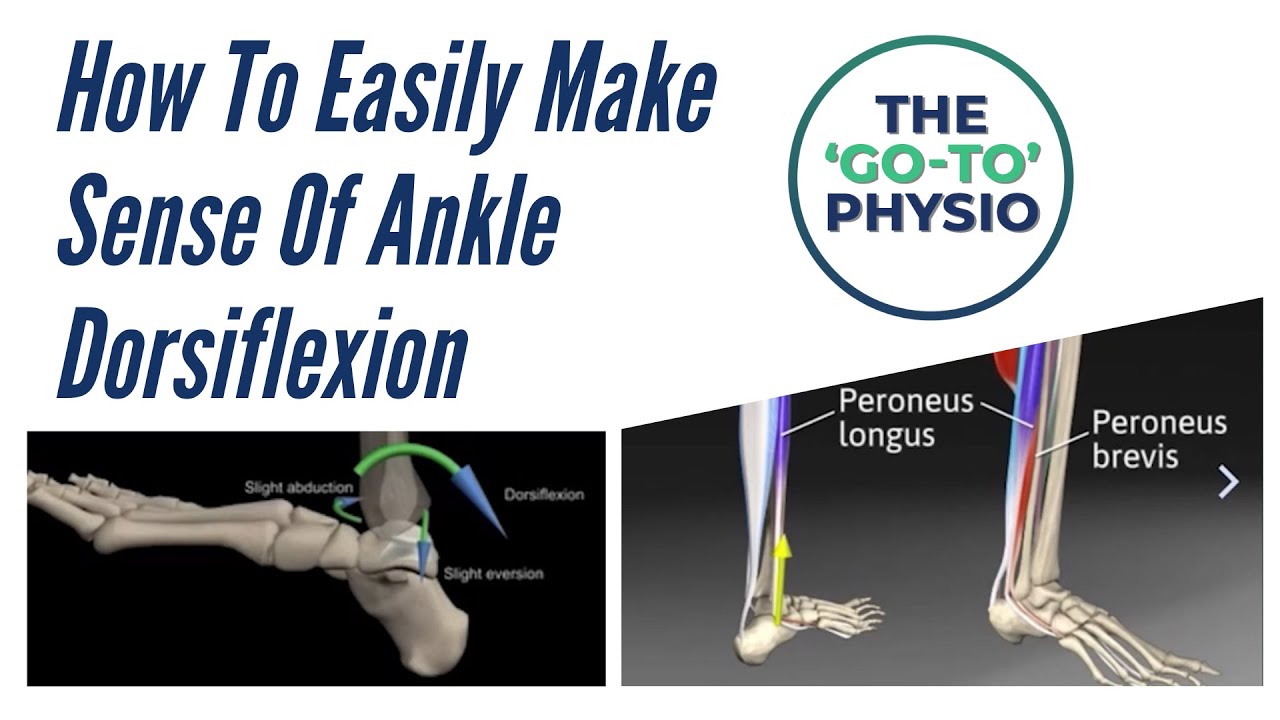 How To Easily Make Sense Of Ankle Dorsiflexion Restrictions - Part 1 ...