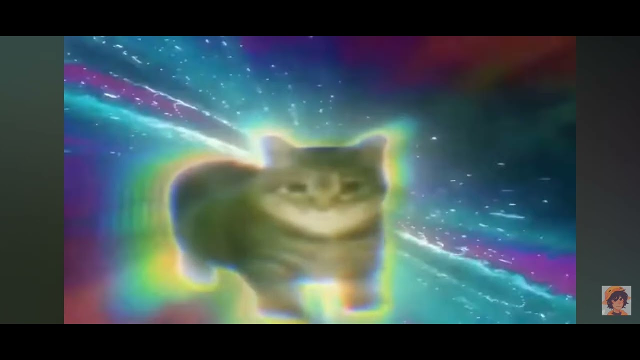 uiia uiia cat extended - YouTube