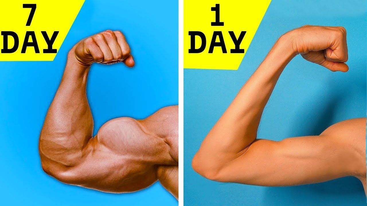 How to have big arms | Arms explosive exercises | Home Workout - YouTube