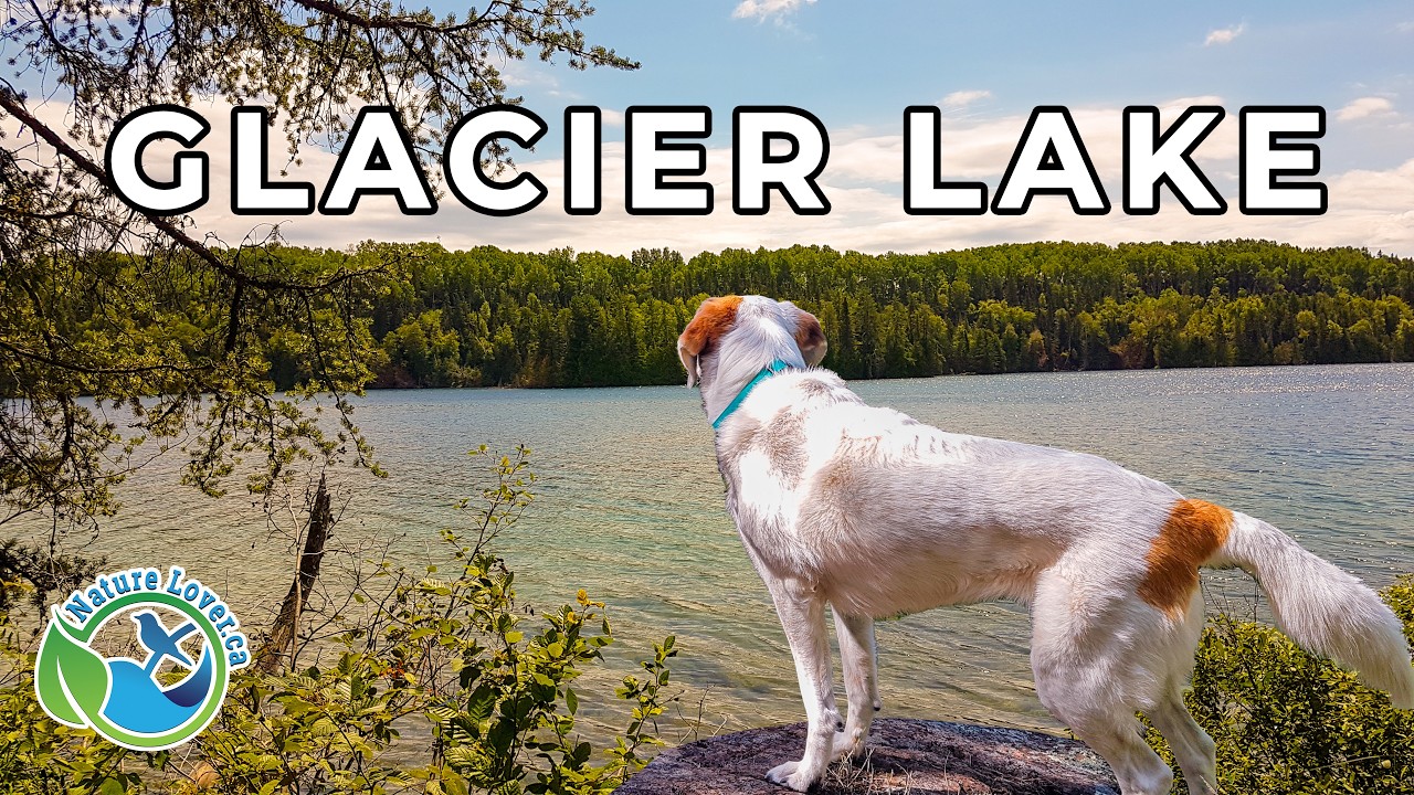 Ivanhoe Lake Provincial Park Walk Around - 2021 Northern Ontario ...