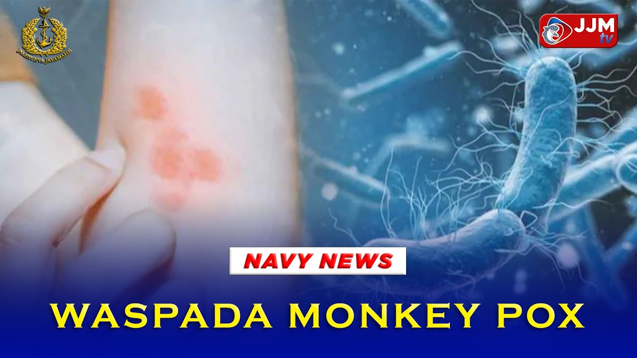 Navy News - WASPADA MONKEY POX - YouTube
