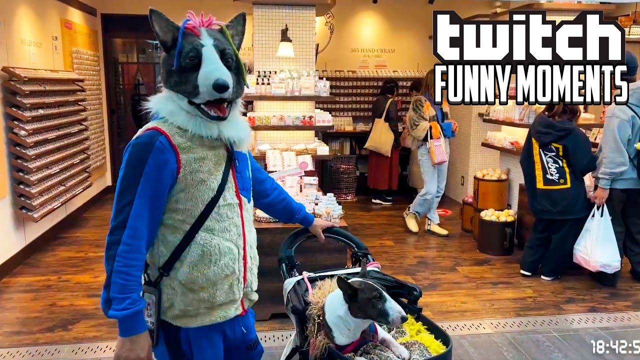 Топ Моменты с Twitch | собака выгуливает собаку - YouTube