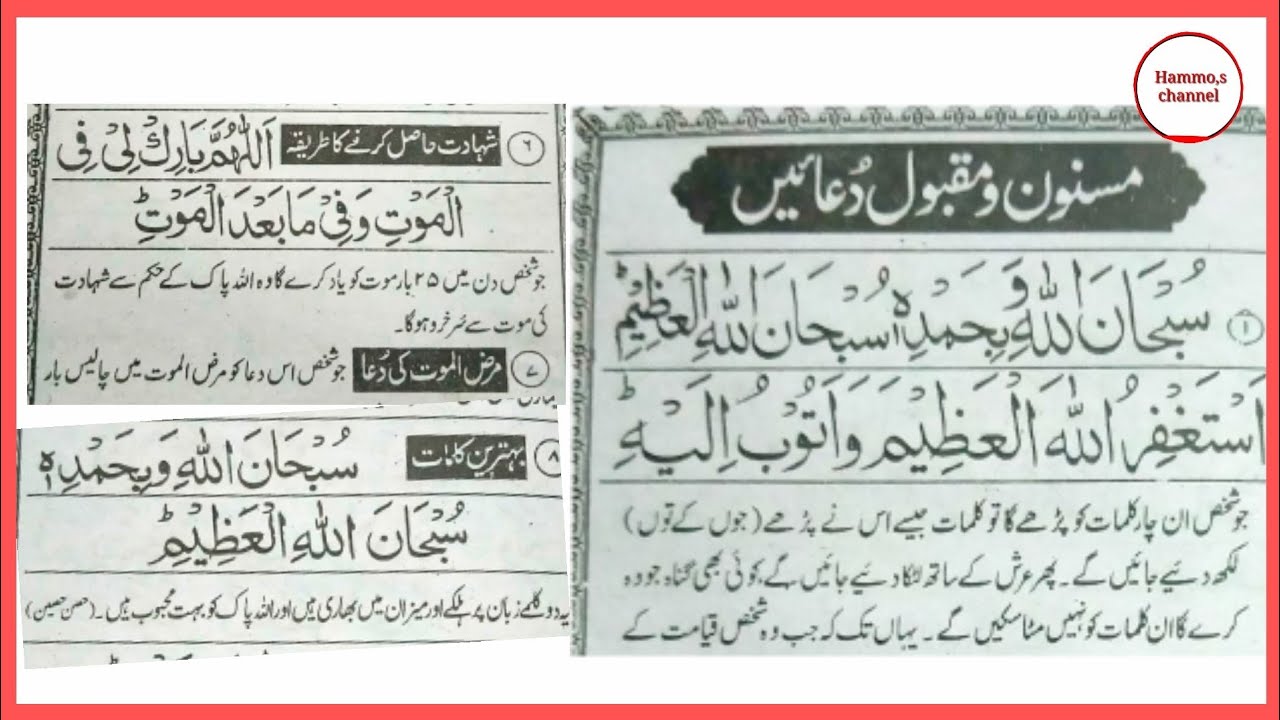 behatareen kalmat jo allah ko sab se zyada mahboob hain#hammoschannel # ...