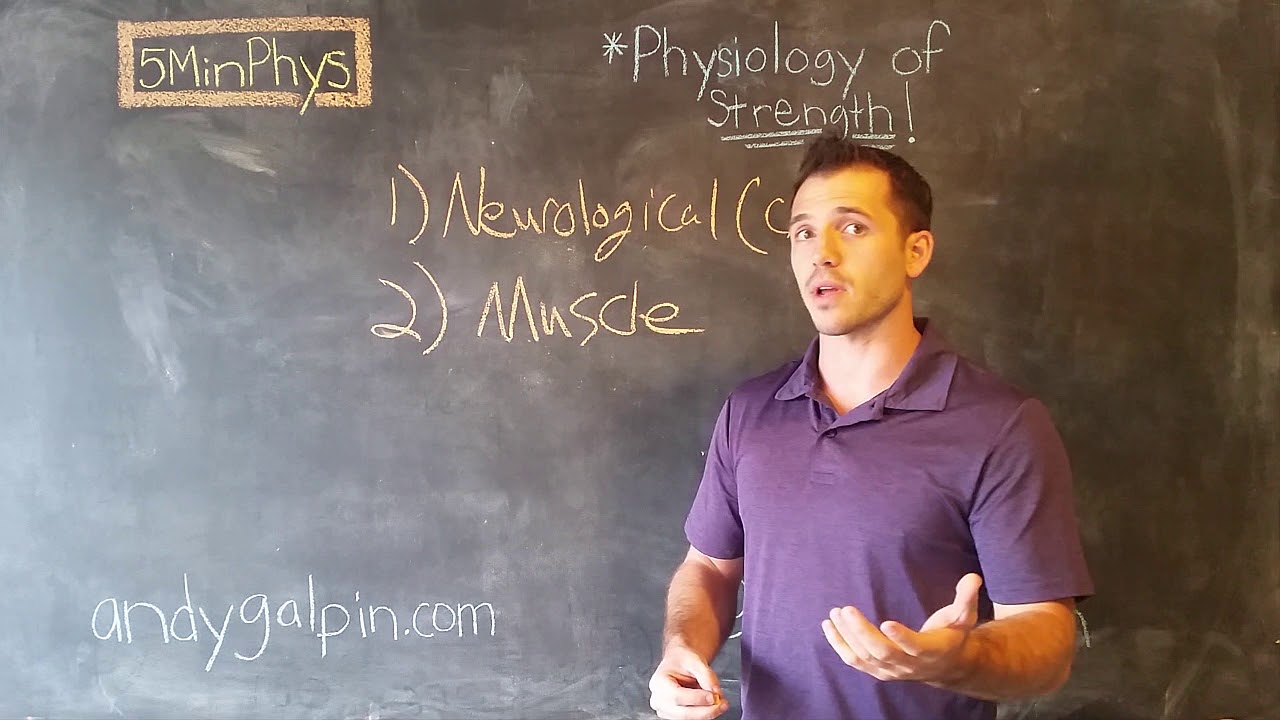 Physiology of Strength: 5 Min Phys - YouTube