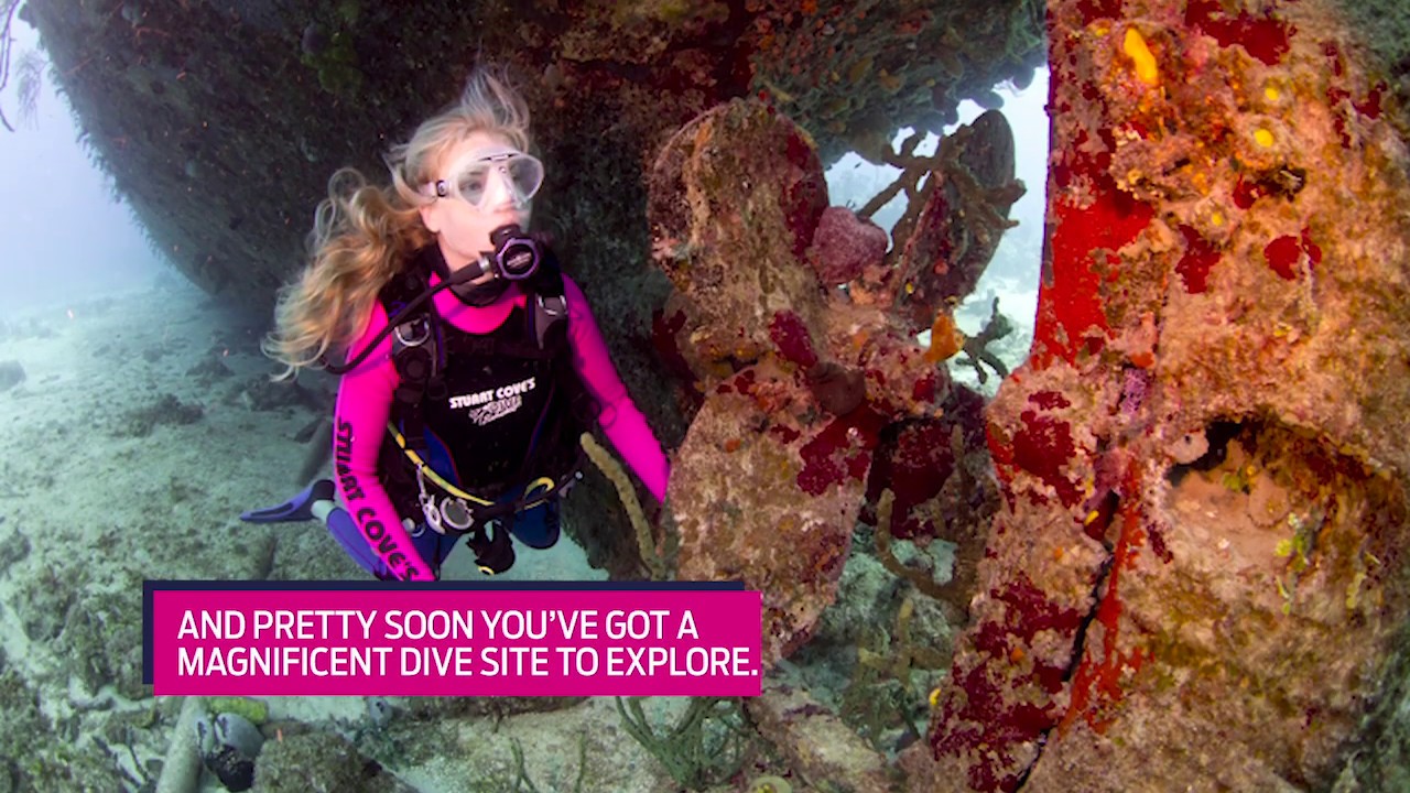 How a Wreck Becomes a Reef - YouTube