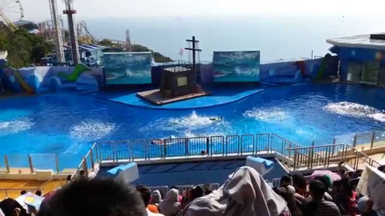 Hong Kong Ocean Park - Ocean Theatre - YouTube