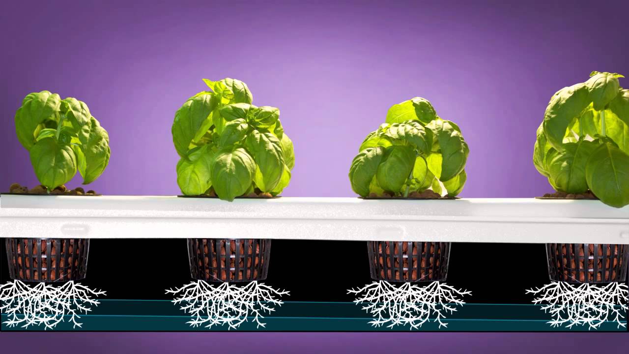 Aeroponics, how to Super Flow non-clogging aeroponics System! - YouTube
